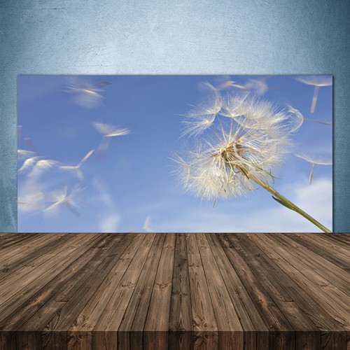 Kitchen Splashback 140x70 Tempered Glass Dandelion Floral | eBay