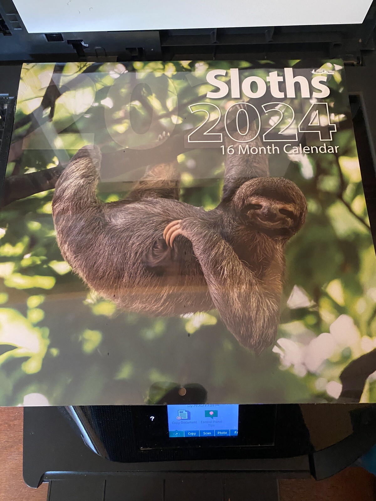 SLOTHS 2024 (16) Month Wall Calendar Sept 23-Dec 24 Brand NEW SEALED | eBay