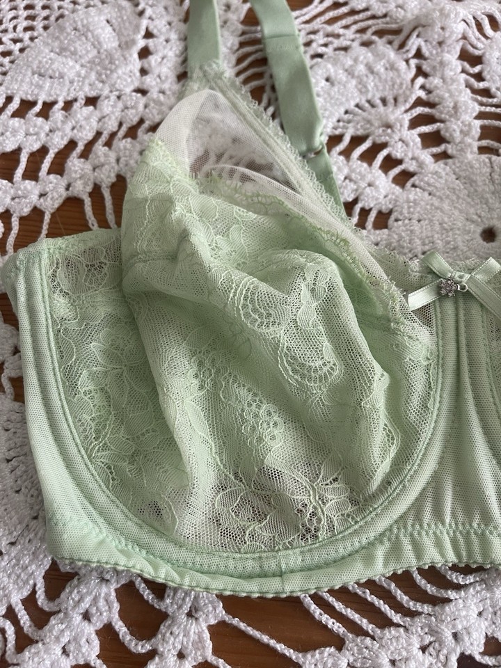 Wacoal Retro Chic 855186 Underwire Chantilly Lace Sheer Mint Bra 34DD ...