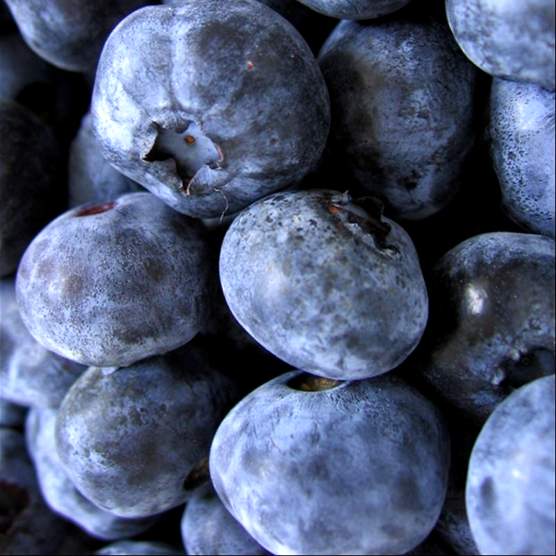 400+ EUROPEAN BLUEBERRY SEEDS BILBERRY RARE AUTUMN LOW BUSH SWEET FREE ...