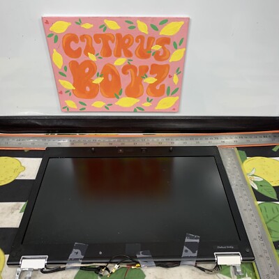 Original HP Elitebook 8440p 14" Complete LCD LED Display Assembly ...