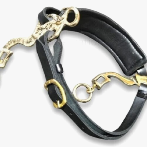 Baroque Hackamore Bit – Adjustable Black Leather with Engraved Brass ...