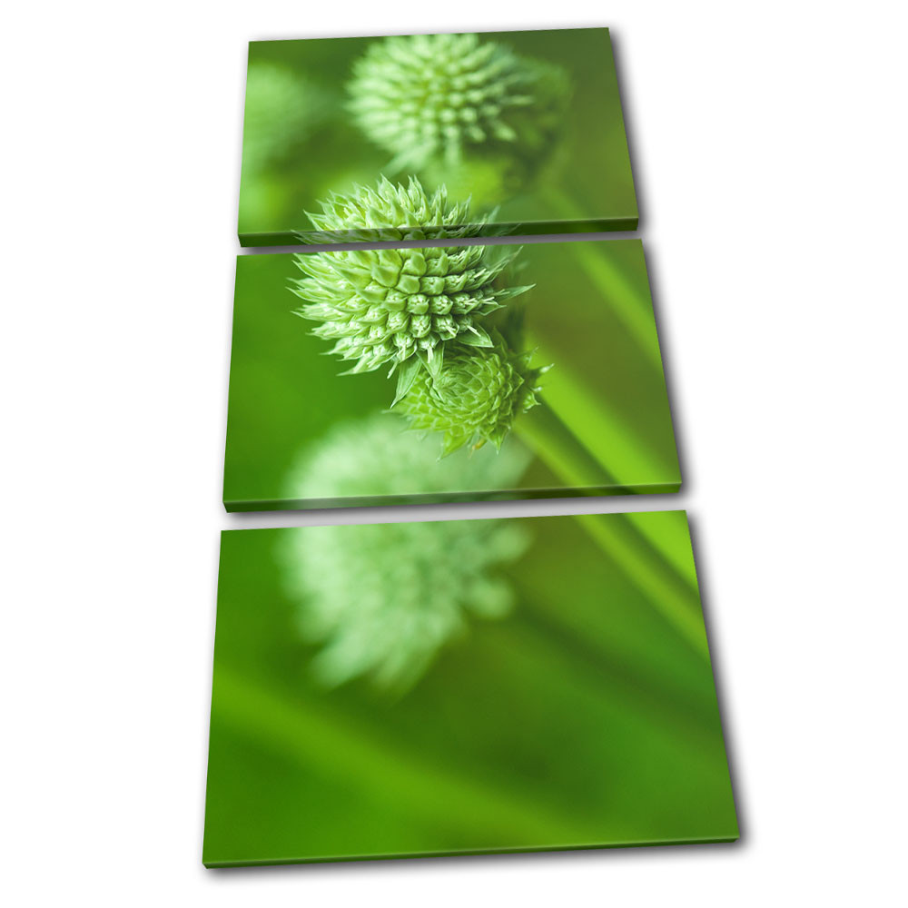 Plant Green Green Floral TREBLE CANVAS WALL ART Picture Print | eBay