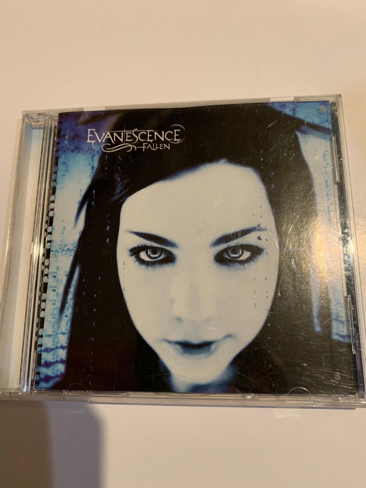 Fallen Evanescence Cover