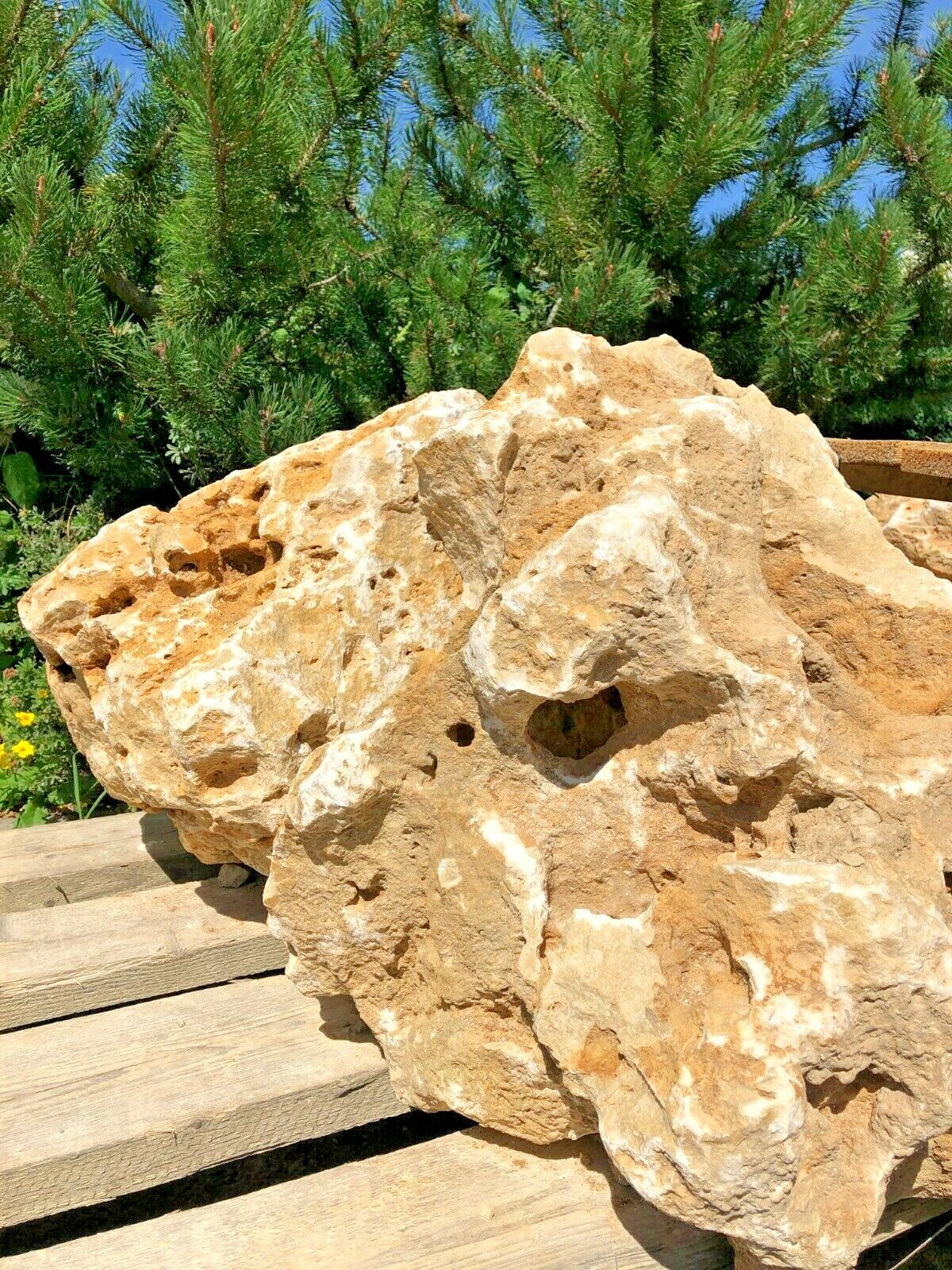 Felsen Kalkstein Naturstein Findling Garten Deko Aquariumstein Teich ...