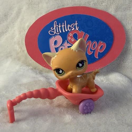 Littlest Pet Shop LPS #525 Authentic Shorthair Cat Orange Green Eyes ...