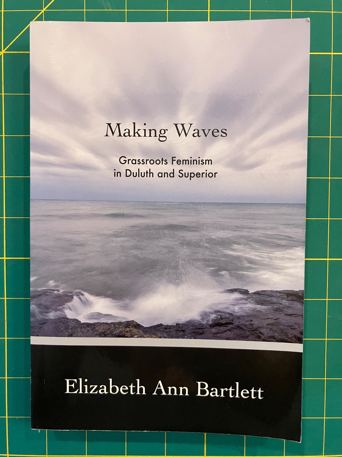 Making Waves: Grassroots Feminism in Duluth & Superior by Elizabeth Ann Bartlett 9781681340111| eBay