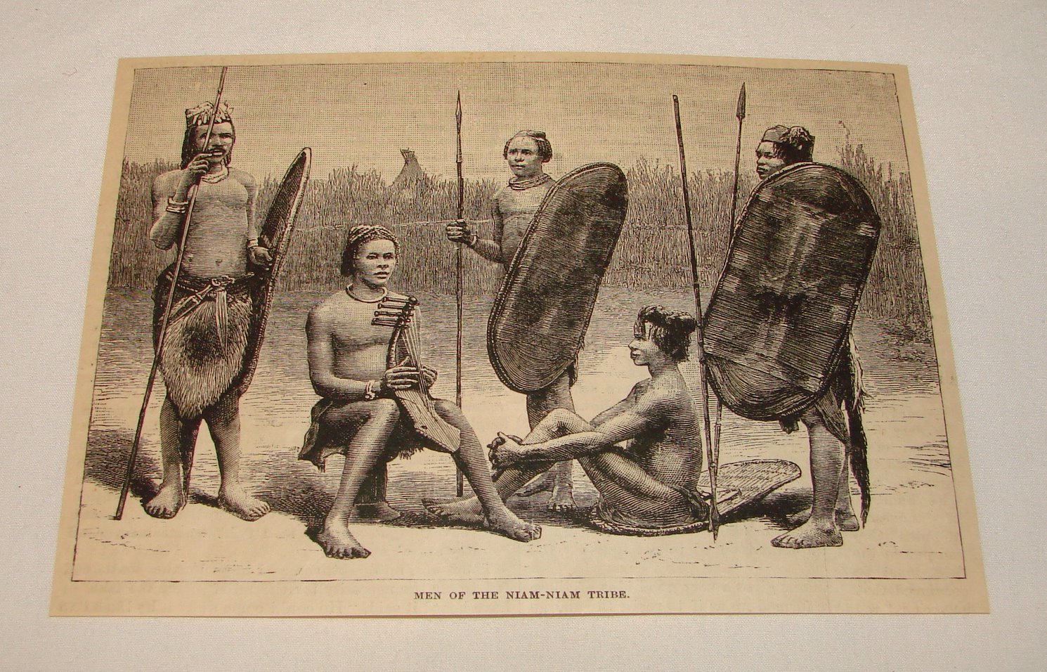 1887 magazine engraving ~ MEN OF THE NIAM-NIAM TRIBE | eBay