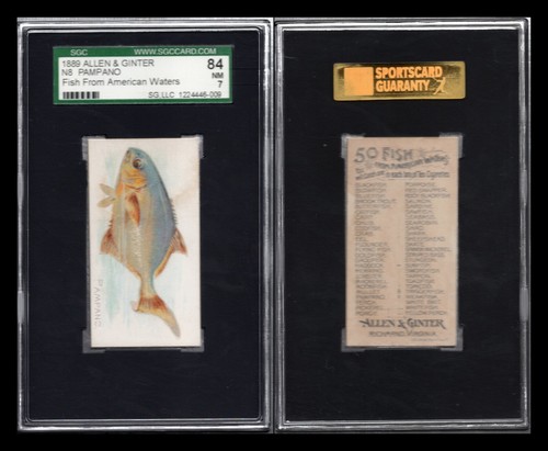 1889 N8 ALLEN & GINTER FISH FROM AMERICAN WATERS " PAMPANO " SGC 84/7 ...
