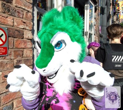 Green And White Sergal Partial Fursuit | eBay UK