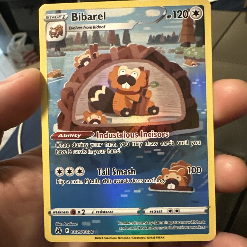 Pokémon TCG Bibarel Crown Zenith - Galarian Gallery GG25/GG70 Holo ...