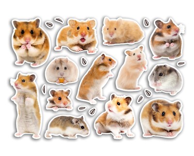 A5 Sticker Sheet Hamster Vinyl Stickers - Animals Pet Scrapbooking ...