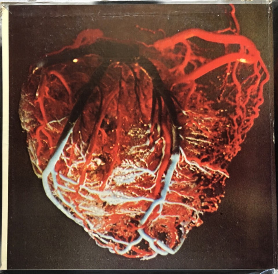 Aorta - Aorta (LP, Album, Ter) | eBay