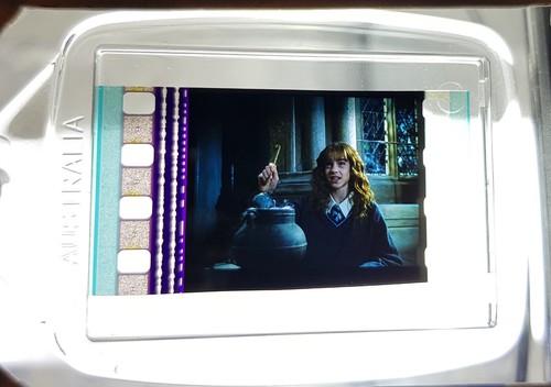 Harry Potter Potion Hermione Granger Emma Watson Gryffindor school ...