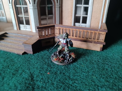 Fully Painted DnD Character Female Goblin Fighter by Twin Goddess ...