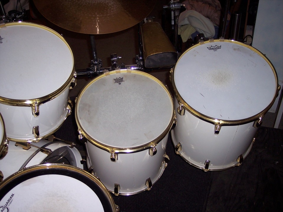 TEMPUS DRUMS aka MILESTONE. CRYSTALINA WHITE W/GOLD LUGS AND RIMS. | eBay