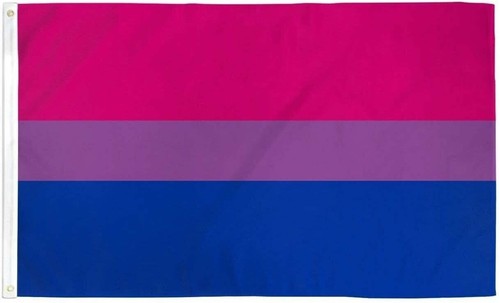 3x5Ft Bisexual Pride Polyester Flag Bi Flag LGBT 2 Metal Grommets LGBTQ ...