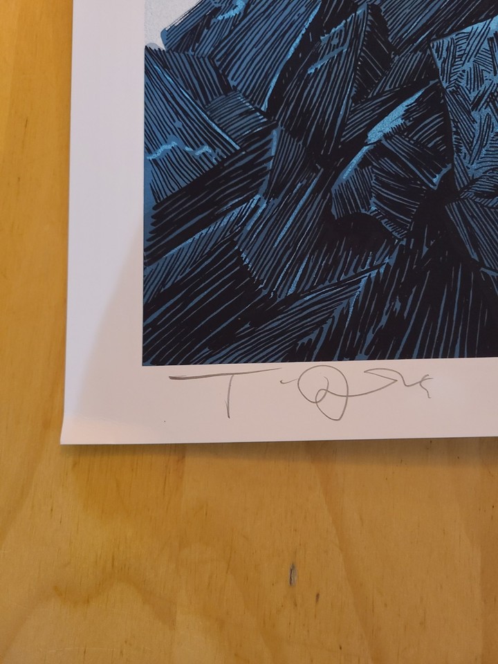 ZELDA Temple of Time GID Tim Doyle SIGNED Print GLOW Breath of the Wild ...