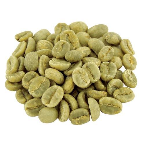 Zimbabwe AA Plus Salimba Estate Fresh Roasted Gourmet Coffee African ...