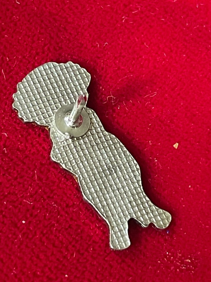 Puerto Rico Flag Wrapped Coqui Frog Enamel Lapel Pin Hat Sunglasses 1 ...