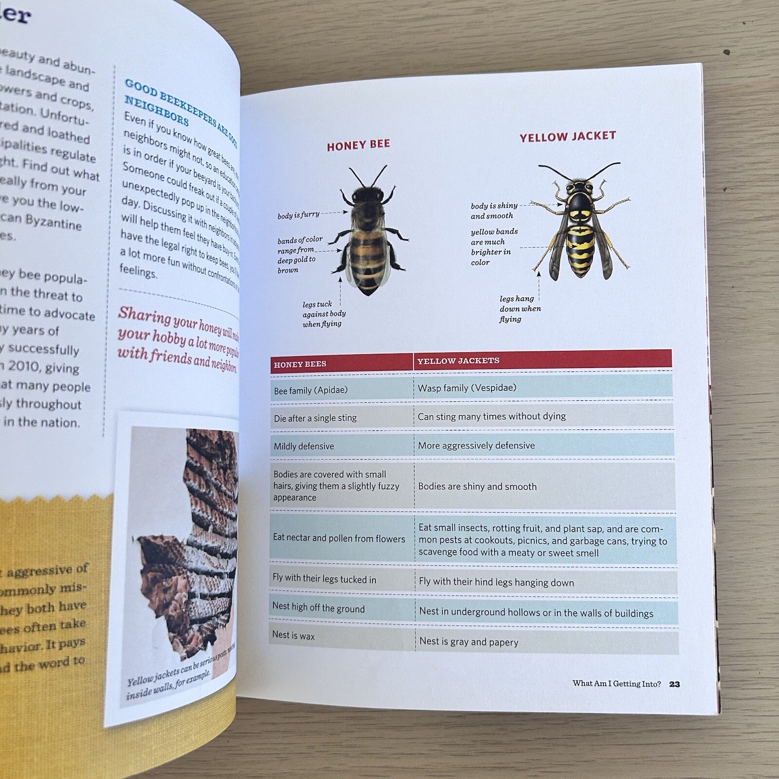 Homegrown Honey Bees: An Absolute Beginner's Guide to Beekeeping - Ex ...