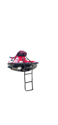 Emergency ladder for your Pwc or boat | eBay