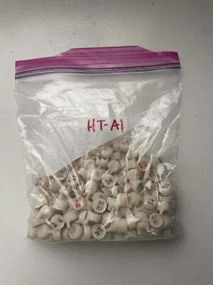 Emax Ivoclar Ingots 32 ct Labeled, Pressed Once, Shade HT-A1 | eBay