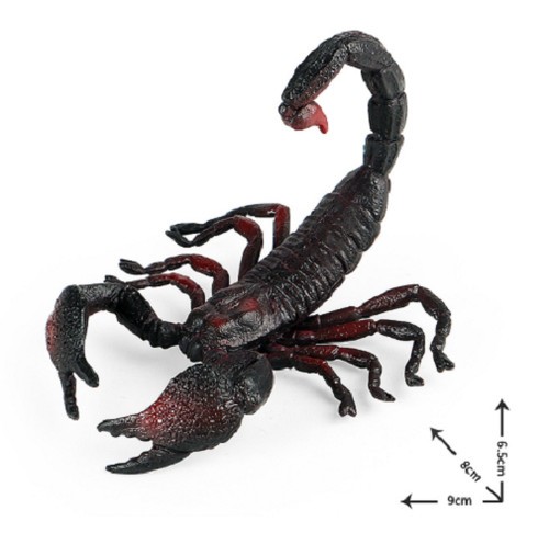 9cm Mini Scorpion Insects PVC Toy Wild Animal Figure Doll Kids Gift | eBay