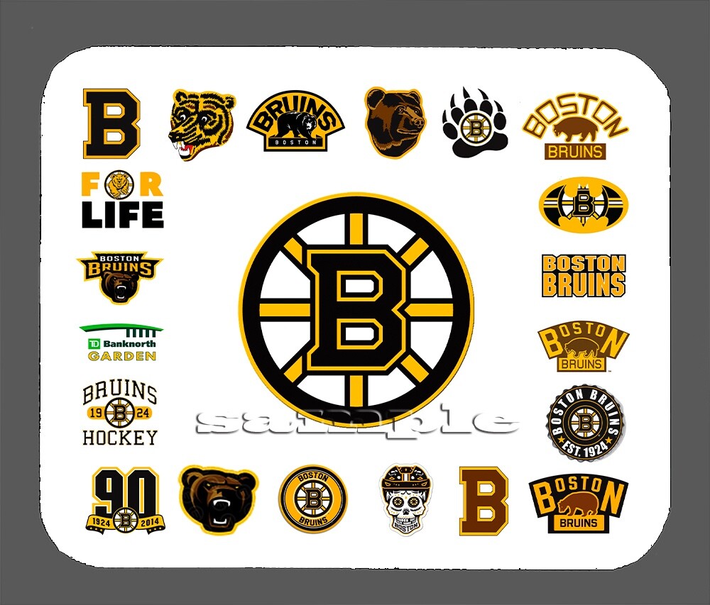 Small Bruins Logo