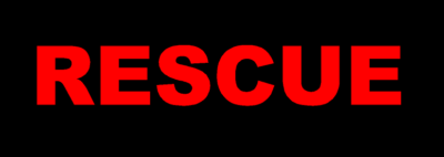 RESCUE Lettering Placard Vinyl Decal Sticker Body Window Glass Fire ...
