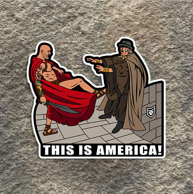 This is America (Joe Rogan/Neil Young) Vinyl Decal | eBay
