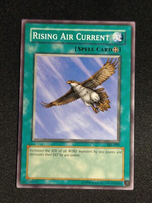 Yu-Gi-Oh! Rising Air Current SRL-099 Unlimited Edition Common NM | eBay