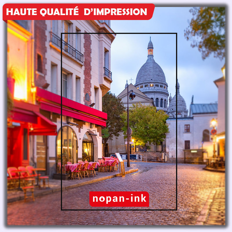 Toner OKI ES5442 46490624 Noir Compatible x1 NOPAN-INK | eBay