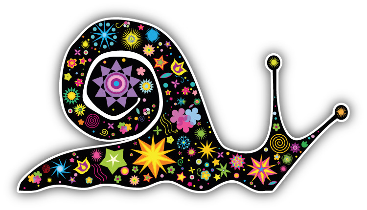 Ornate Snail Car Bumper Sticker Decal - ''SIZES'' | eBay
