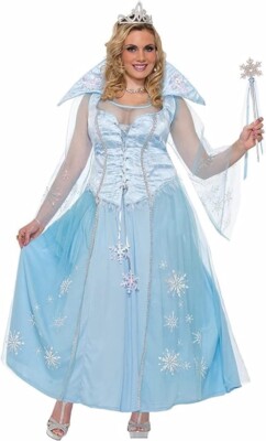 Princess Costume Adult Winter Princess 2Pc Blue/Silver Dress & Corset ...