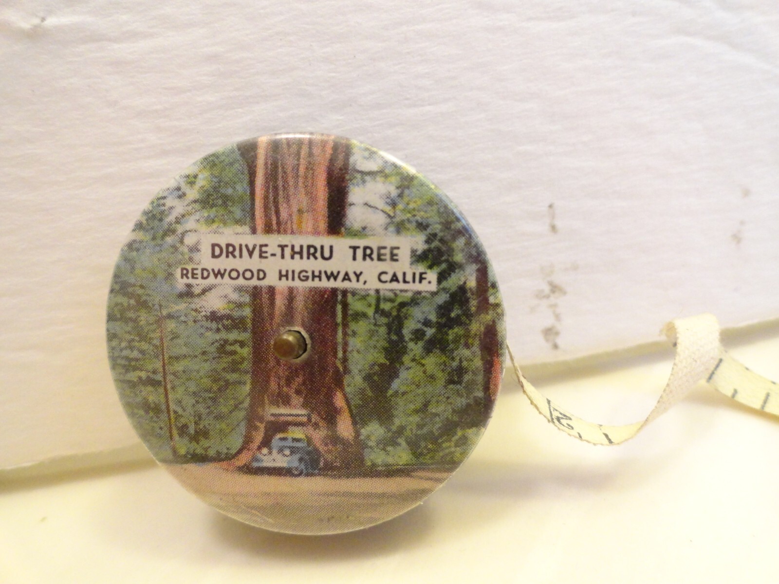 Vintage DRIVE THRU TREE REDWOOD HWY CALIFORNIA Souvenir Celluloid Tape ...
