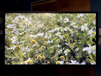 Dell P4317Q 43 inch Ultra HD 4K Multi Client Monitor 884116215813| eBay