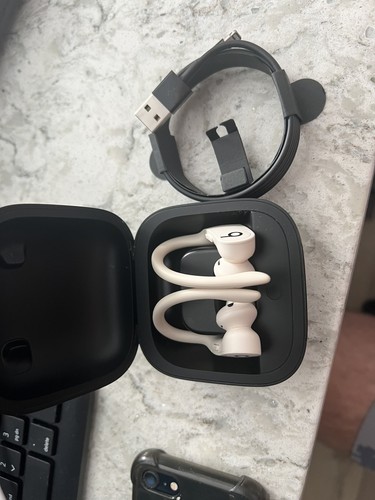 Beats by Dr. Dre Powerbeats Pro Wireless Earphones - White- Read ...