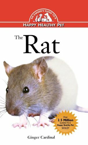 The Rat (Happy Healthy Pet) By Ginger Cardinal. 9780876054284 ...