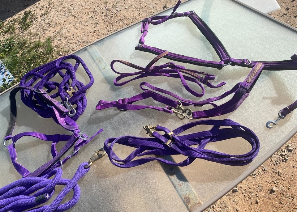 PURPLE Tack LOT Halter Lead - Weaver Headstall & Breast Collar Lounge ...