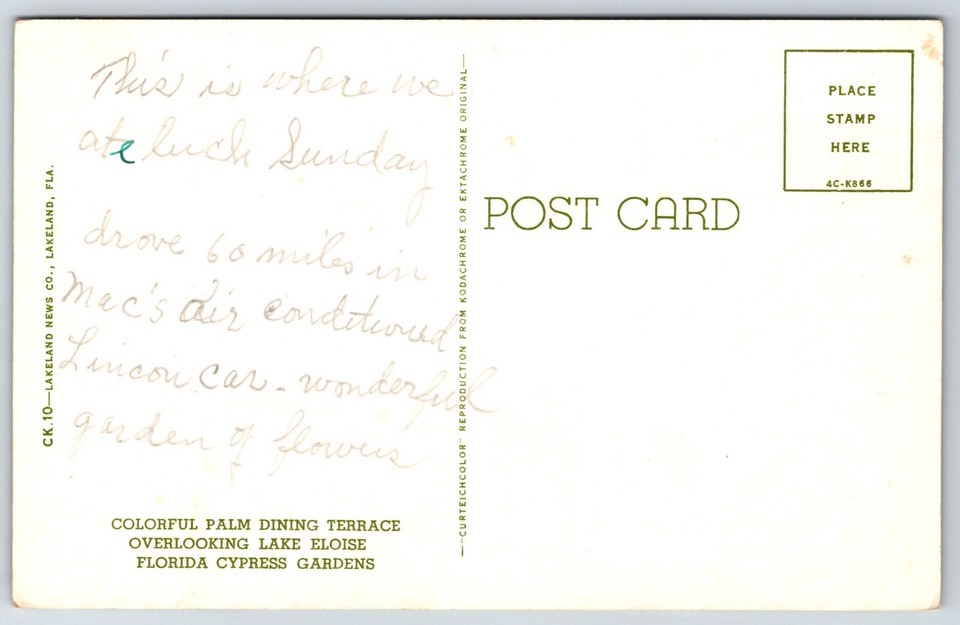 Theme~Florida~Colorful Palm Dining Terrace @ Cypress Gardens~Vintage ...