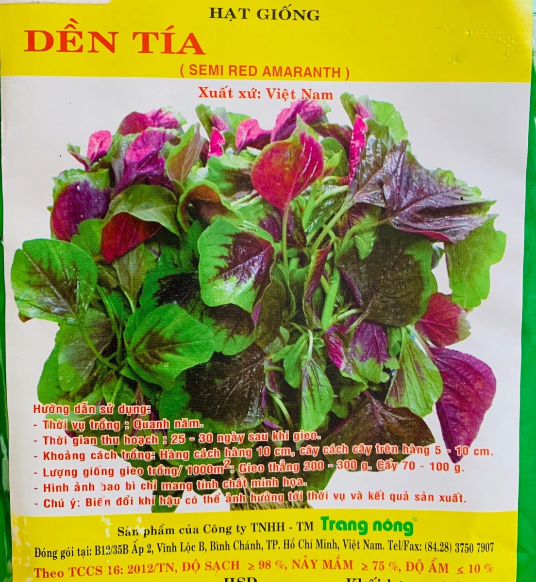 Logotipo De Rau Trang Hoi An (2025) | 10x Bezienswaardigheden, Tips