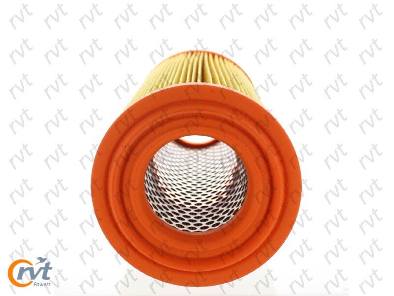 OEM 0313AC0280N New Air Filter Element For Mahindra Roxor | eBay