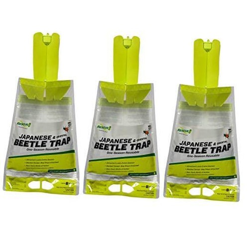 Japanese Beetle Trap – Reusable Bag - 3 Traps 42853780470 | eBay