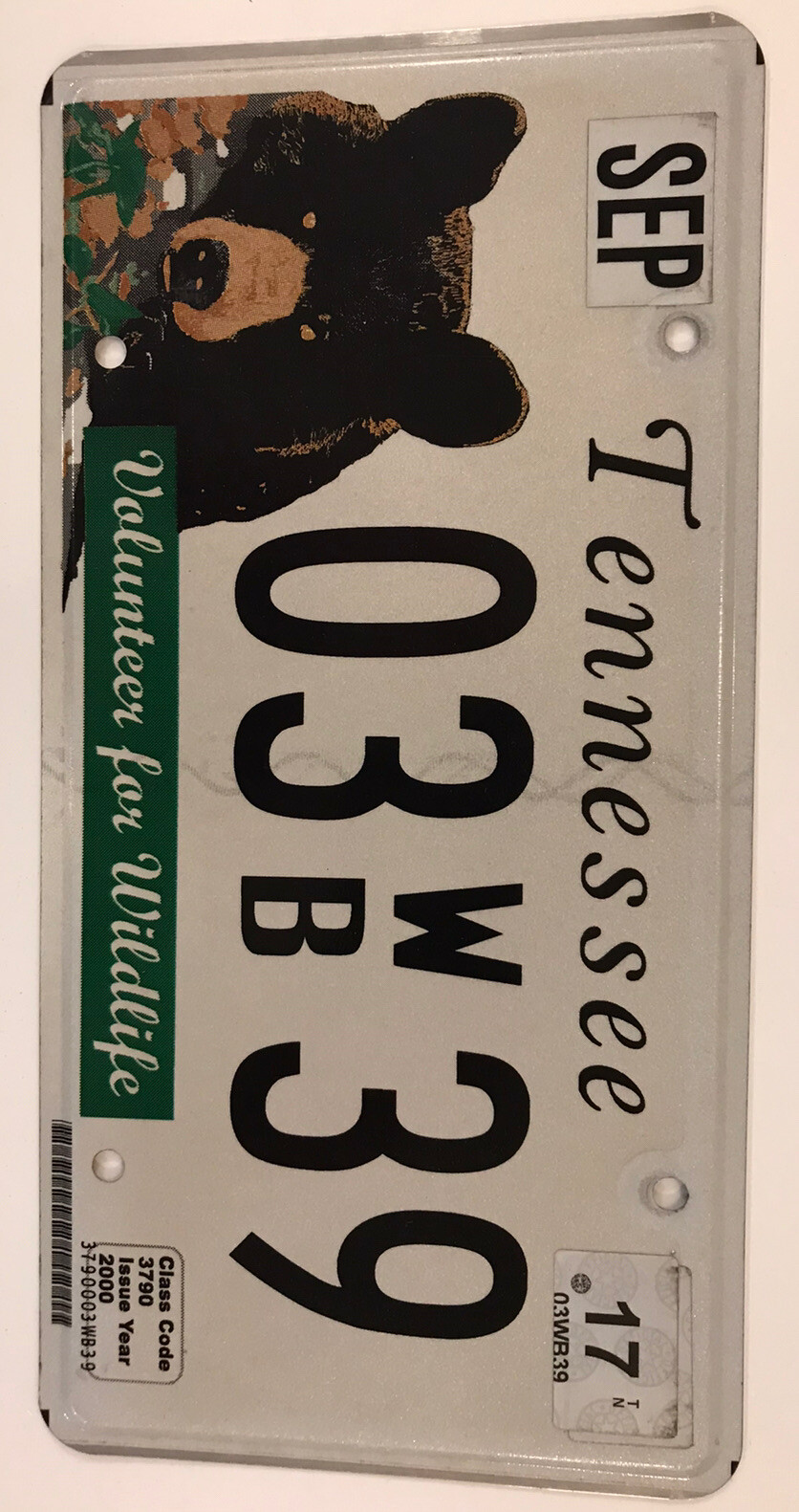 WILDLIFE GRIZZLY BEAR license plate National Park Wild Ours Bär Oso | eBay