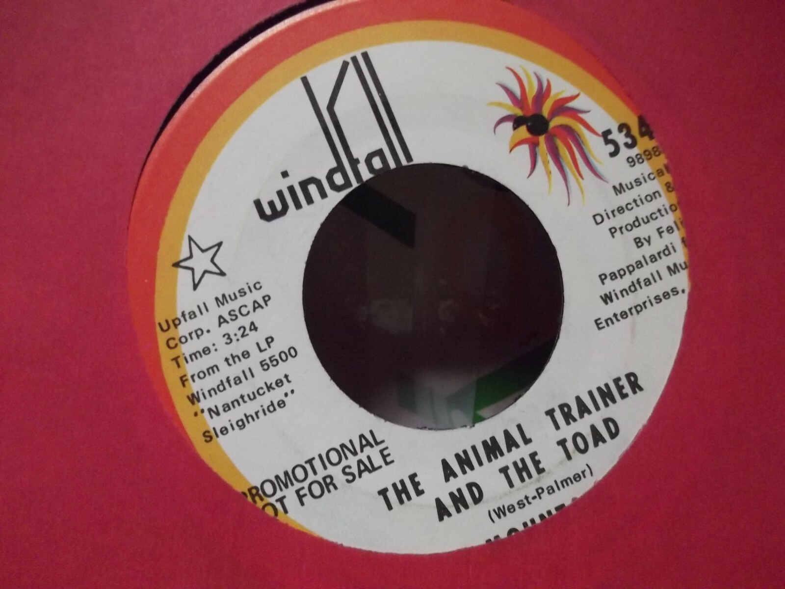 E*PROMO*MOUNTAIN TIRED ANGELS/ANIMAL TRAINER & THE TOAD ON WINDFALL ...