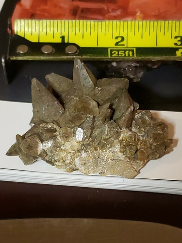 Chocolate Dogtooth Raven Wing Calcite Cluster Santa Eulalia Chihuahua ...