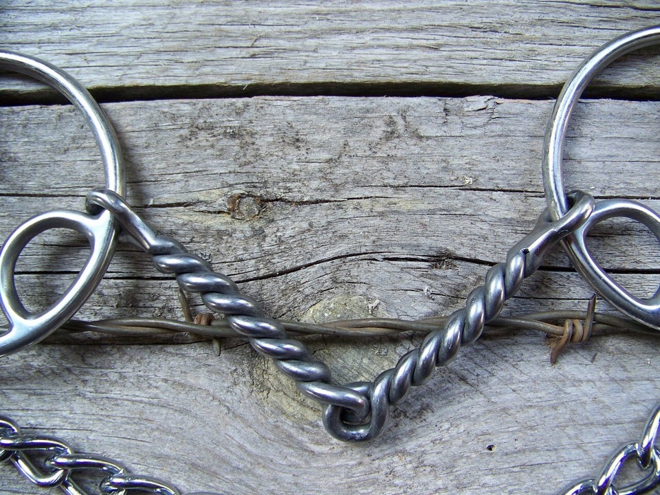 Bit - SS Ring/Sliding Gag w/Twisted Wire Snaffle | eBay