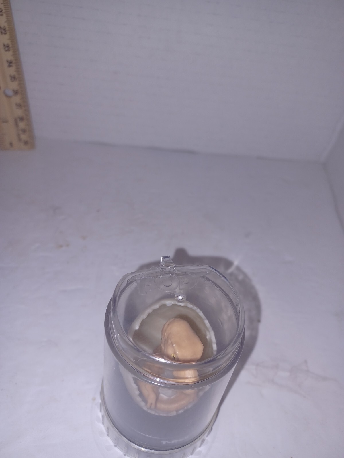 Jurassic World Good 2 Grow Podz T-Rex (B10) | eBay