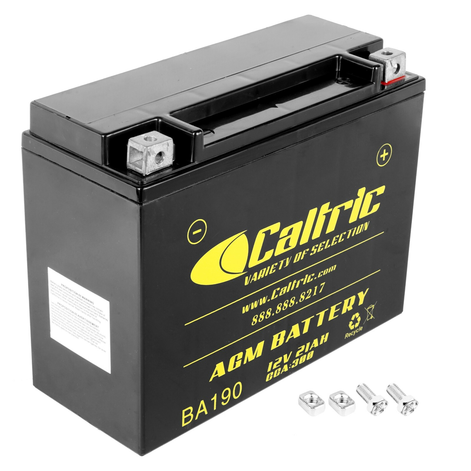 Caltric AGM Battery for Can AM 410922962 12V / 21 AH / CCA 300 YTX24HL ...